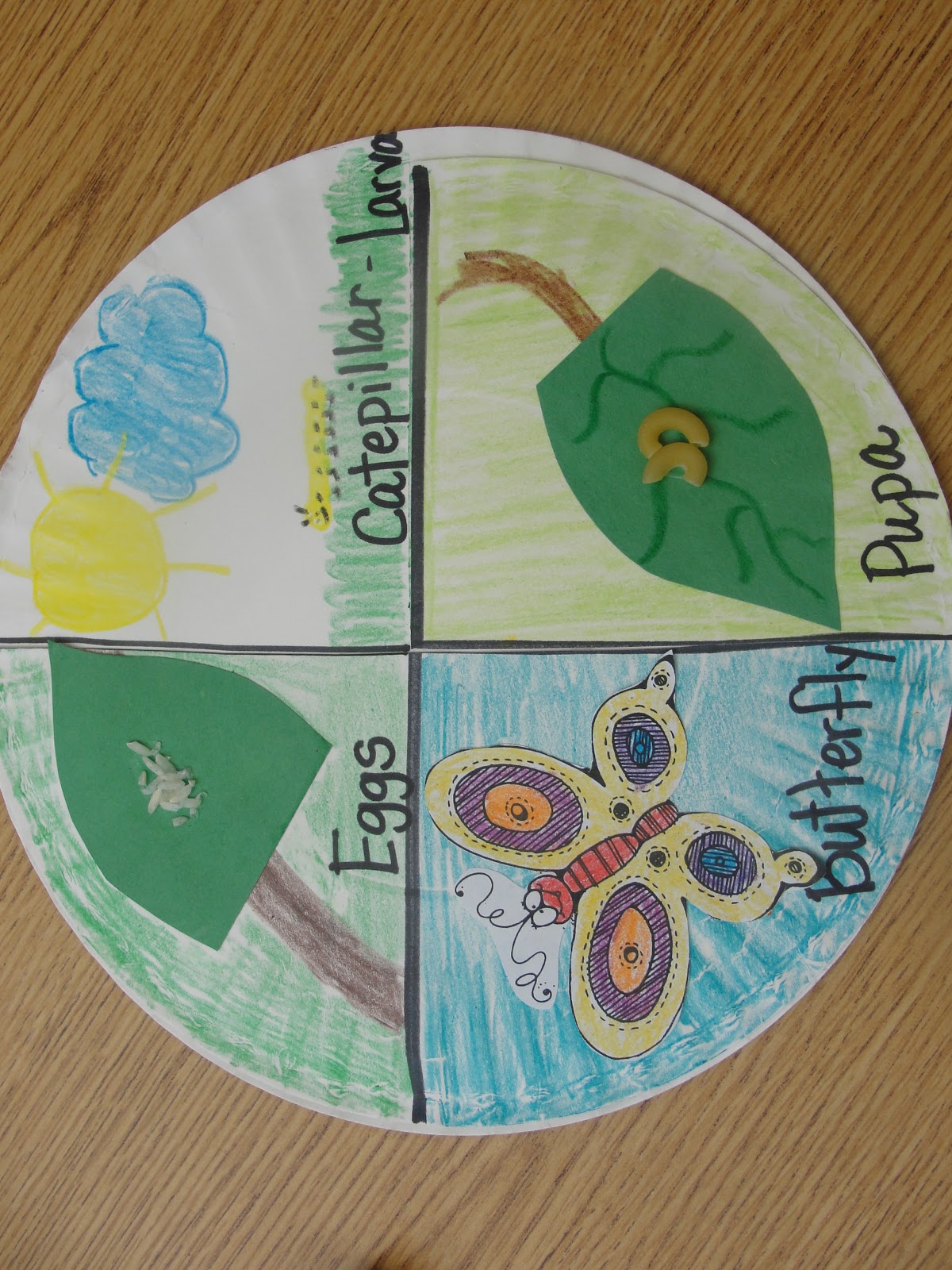 Family Life Cycle Essay Typer family-life-cycle-essay-typer
